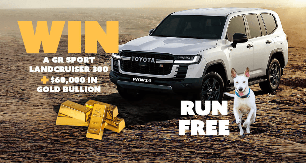 Get ready to hit the open road with RSPCA Lottery No. 80 | RSPCA Lottery